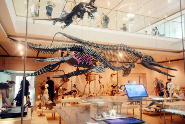 13 Most Famous Museums in Italy to Include in Your Itinerary